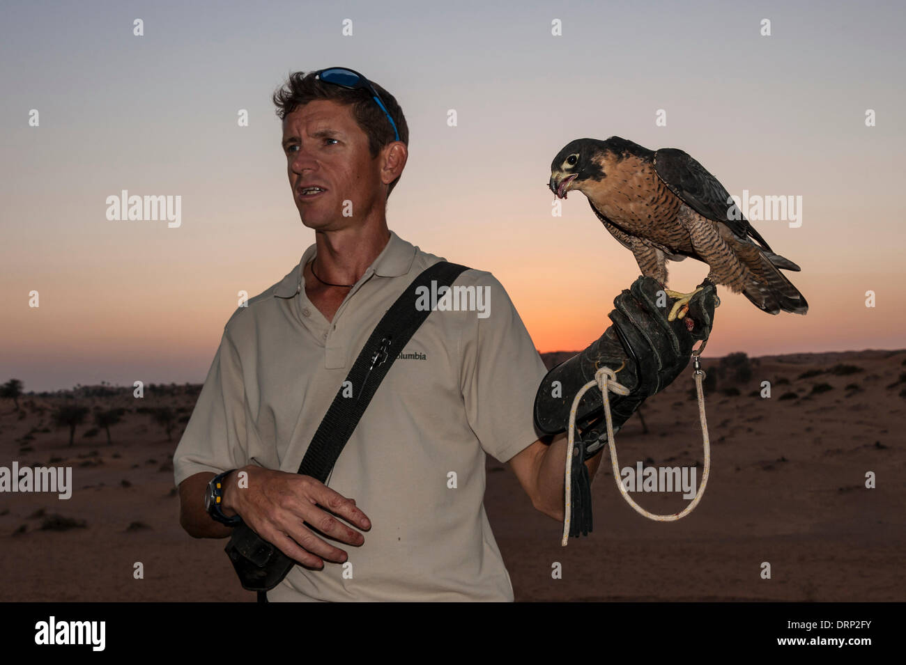 United Arab Emirates Ras Al-Khaimah - November 2013. Al Wadi Falcon ...