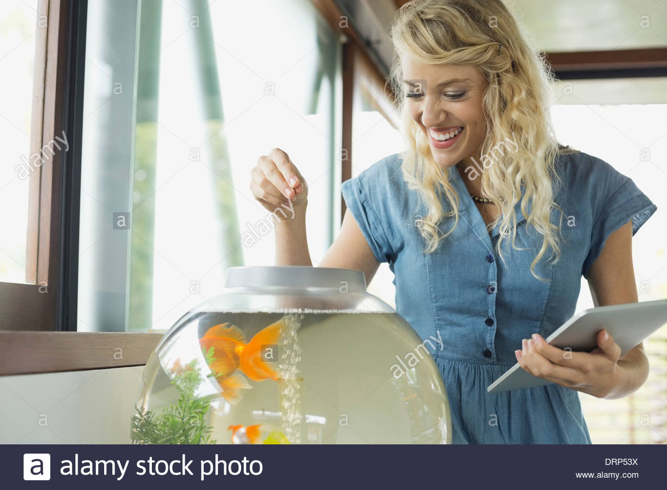 Person feeding fish hi-res stock photography and images - Alamy