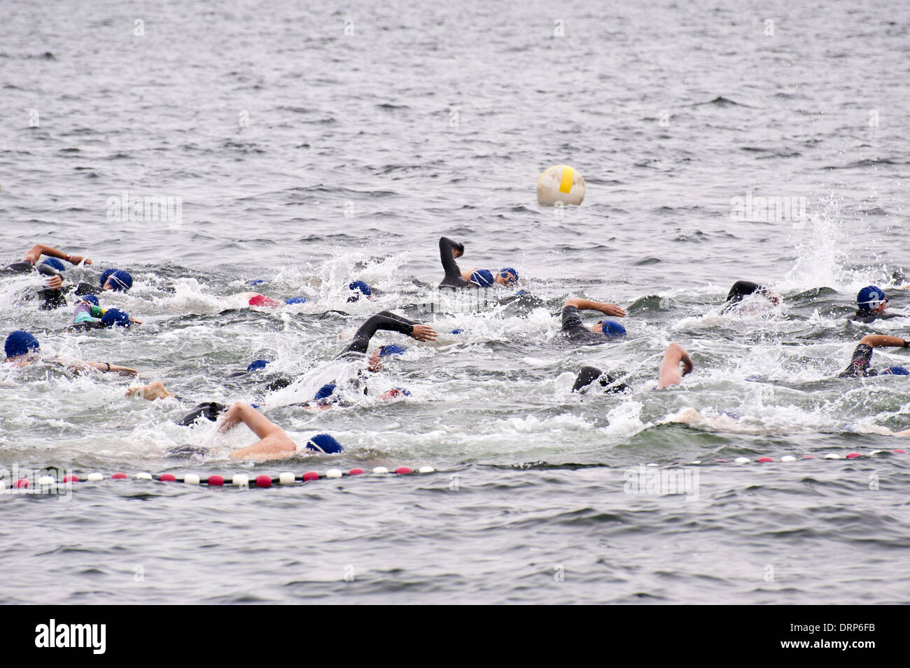 Schwimmer hi-res stock photography and images - Alamy