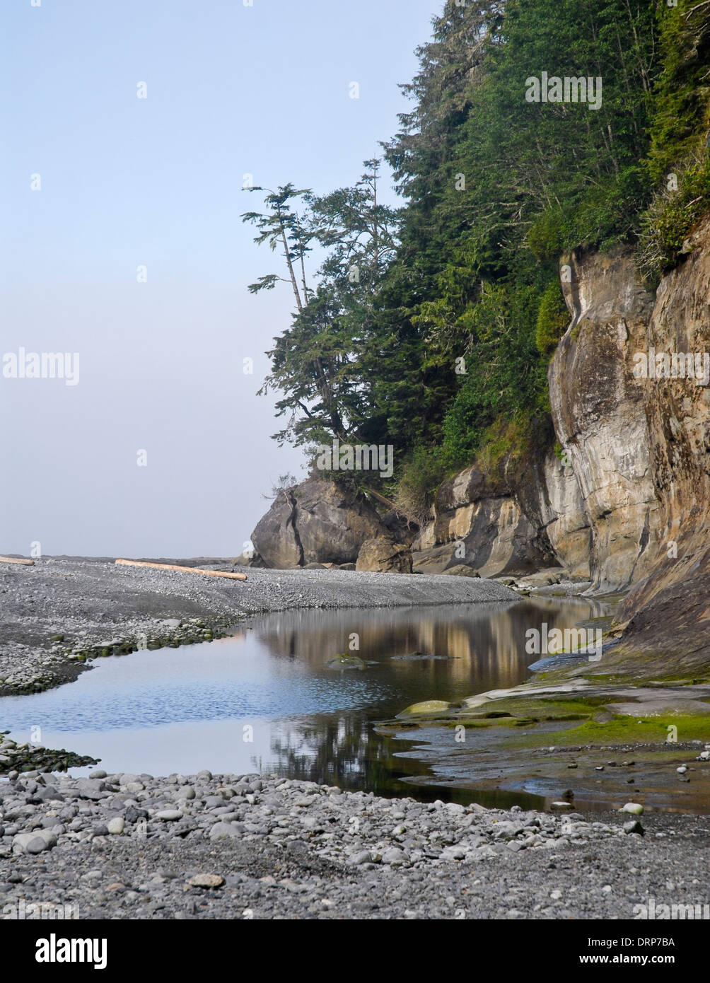 Trail scene hi-res stock photography and images - Alamy
