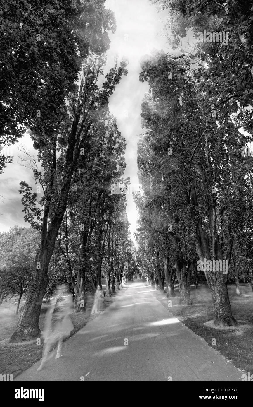 Fall oslo Black and White Stock Photos & Images - Alamy