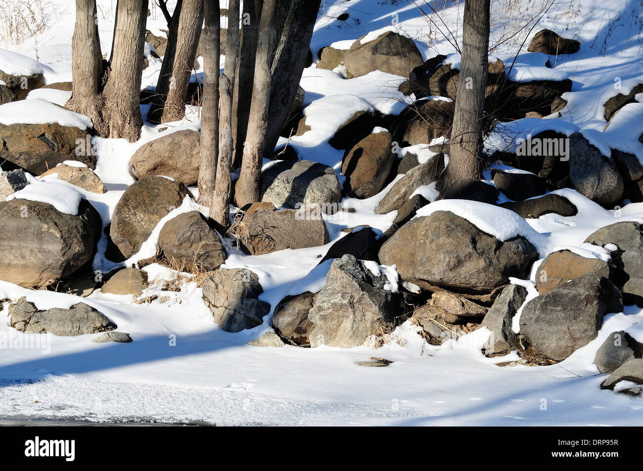 Large boulders and trees hi-res stock photography and images - Alamy
