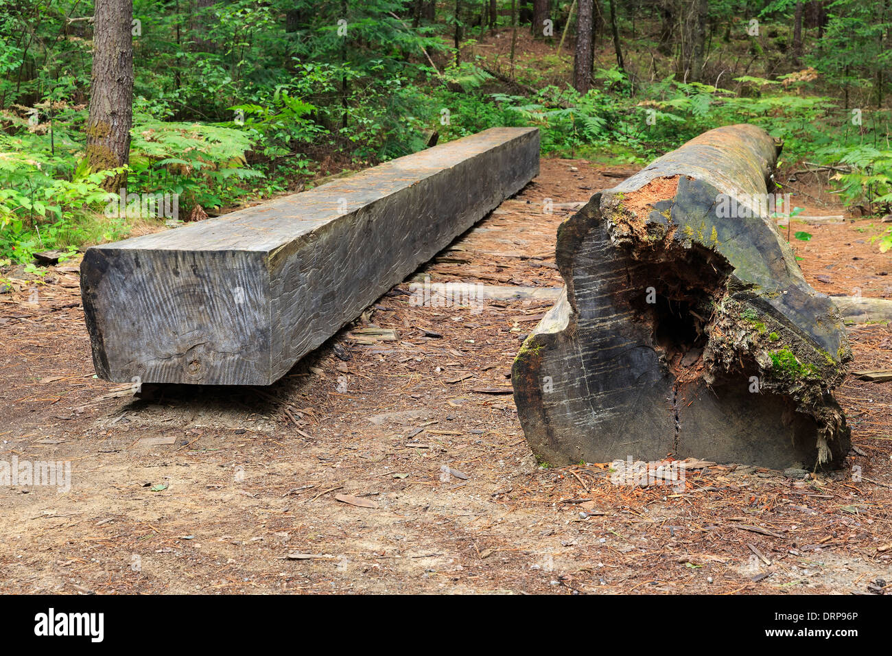 Hand Hewn Log High Resolution Stock Photography and Images - Alamy