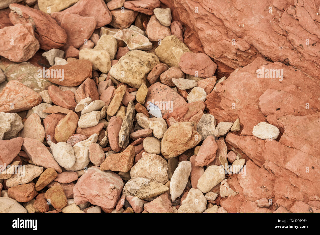 View of slumped pebbles on the bottom of a rock layers Stock Photo - Alamy