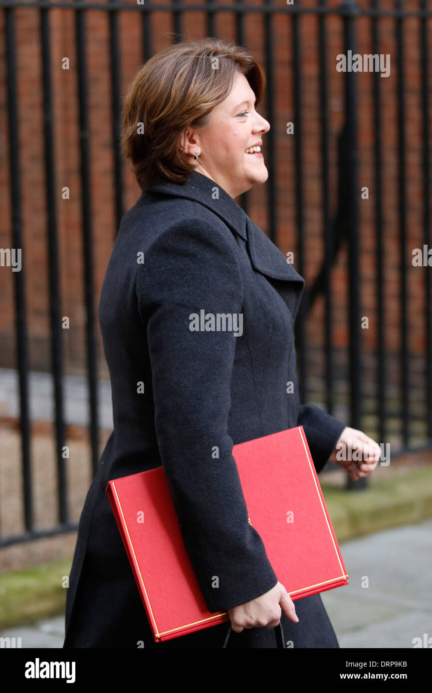 Culture Secretary Maria Miller Stock Photo - Alamy