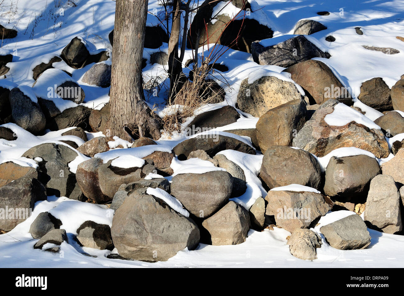 Snow-covered breakwater boulders along river shoreline Stock Photo - Alamy