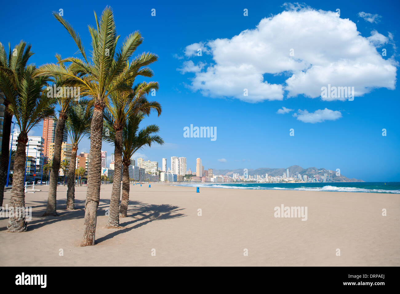 Benidorm Alicante beach palm trees and Mediterranean sea of Spain Stock ...