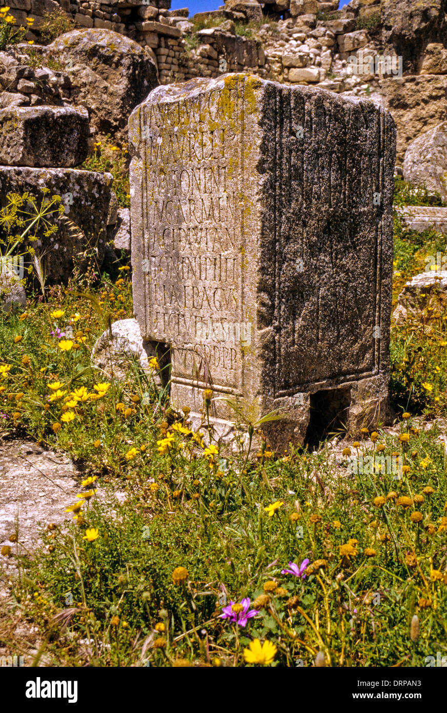 Latin inscriptions hi-res stock photography and images - Alamy