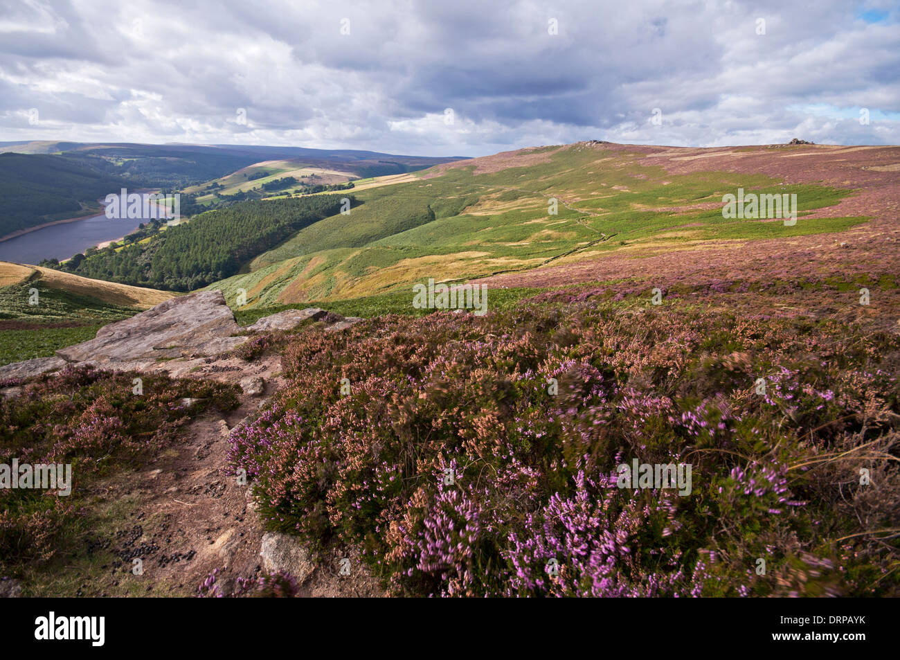 Looking North along Derwent Valley and Derwent Edge in the Peak ...
