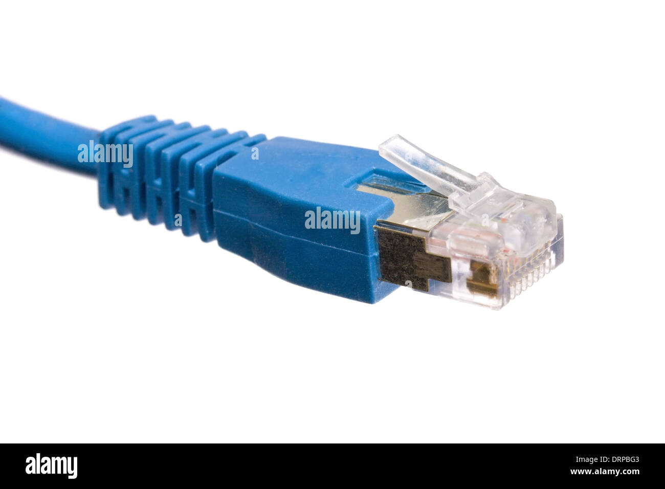 Blue network plug Stock Photo - Alamy