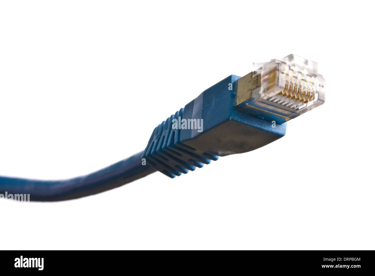 Blue network plug Stock Photo - Alamy