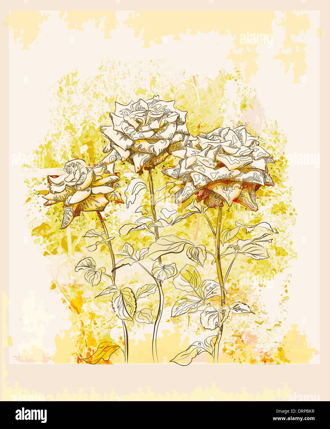 Vintage roses painting hi-res stock photography and images - Alamy