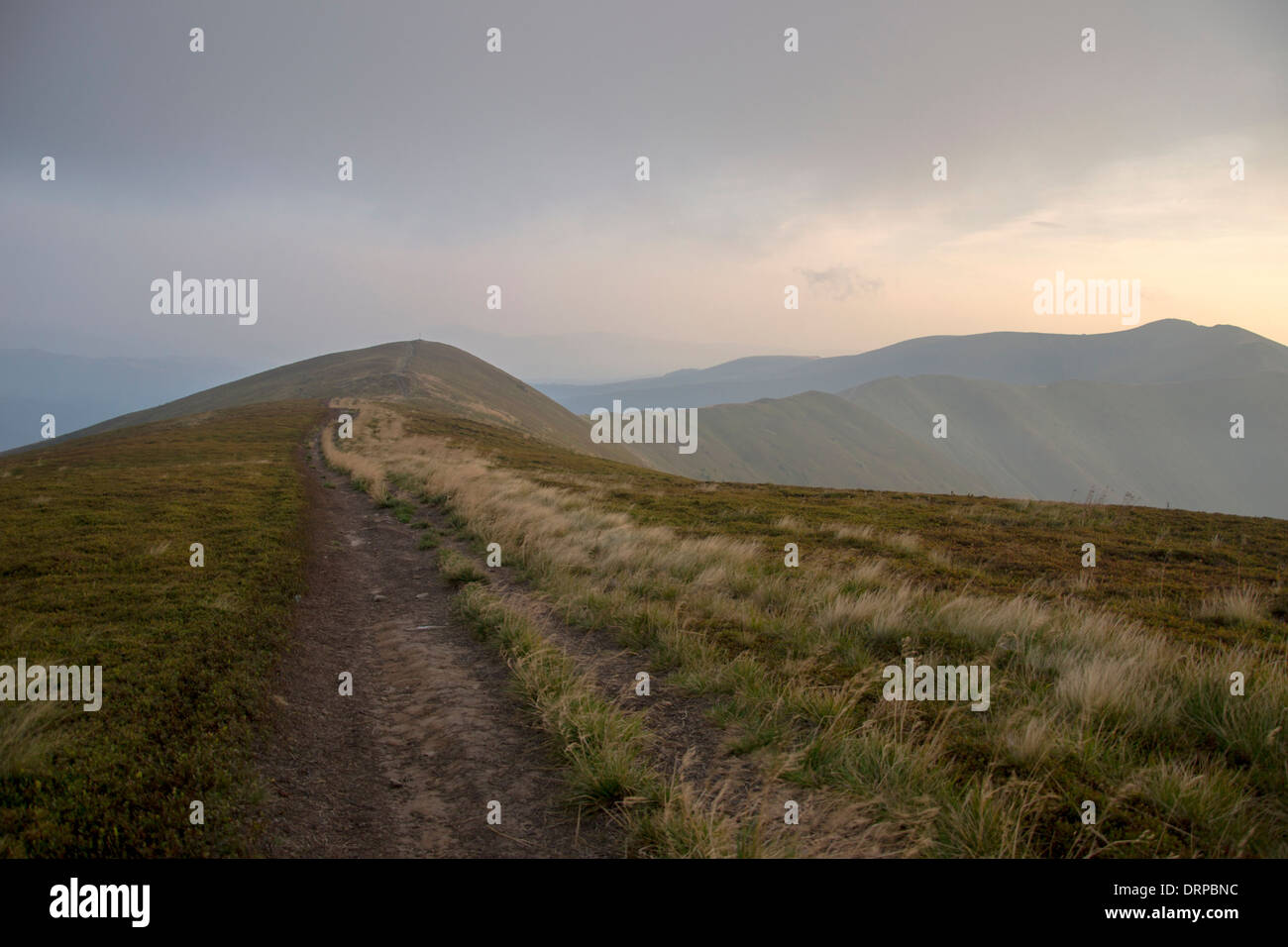 Gold ridge hi-res stock photography and images - Alamy