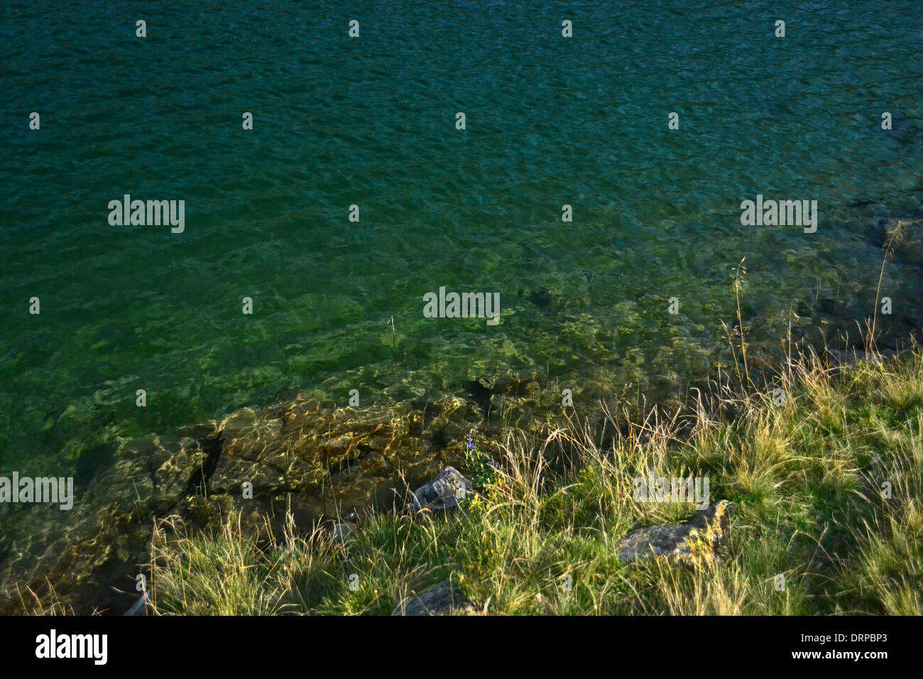 green grass on the beach and turquoise clear water Stock Photo - Alamy