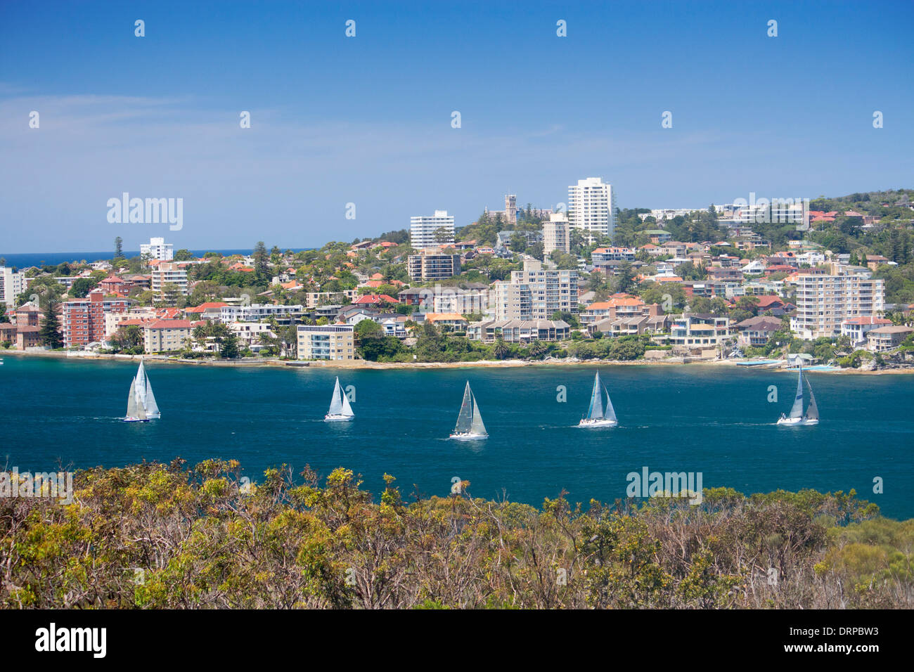 View of Manly Cove from Dobroyd Head with boats in harbour and Pacific ...