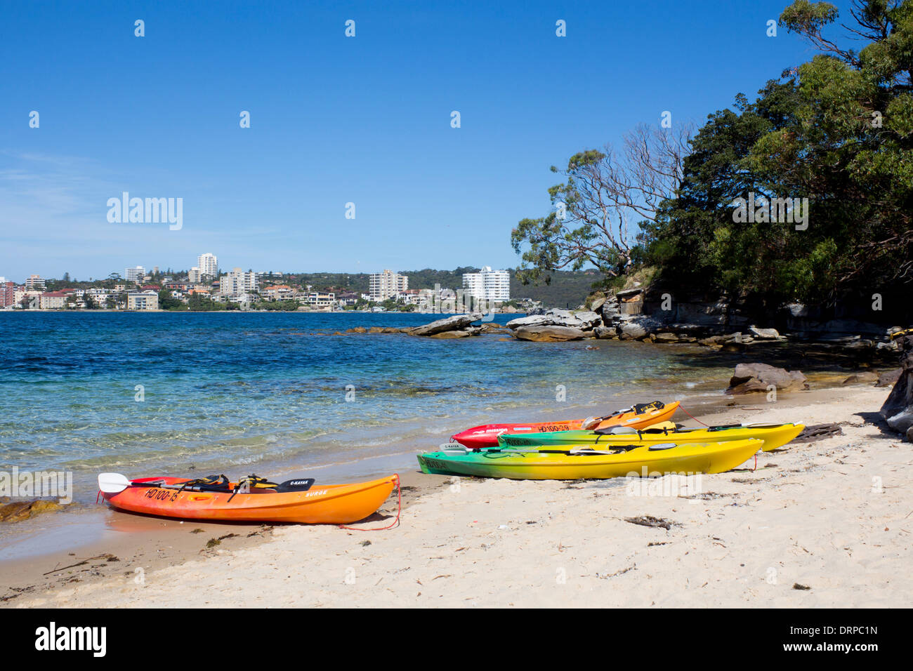 Reef Beach North Harbour looking across to Manly with kayaks on sand ...
