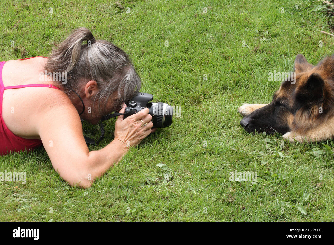 Shutter dog hi-res stock photography and images - Alamy