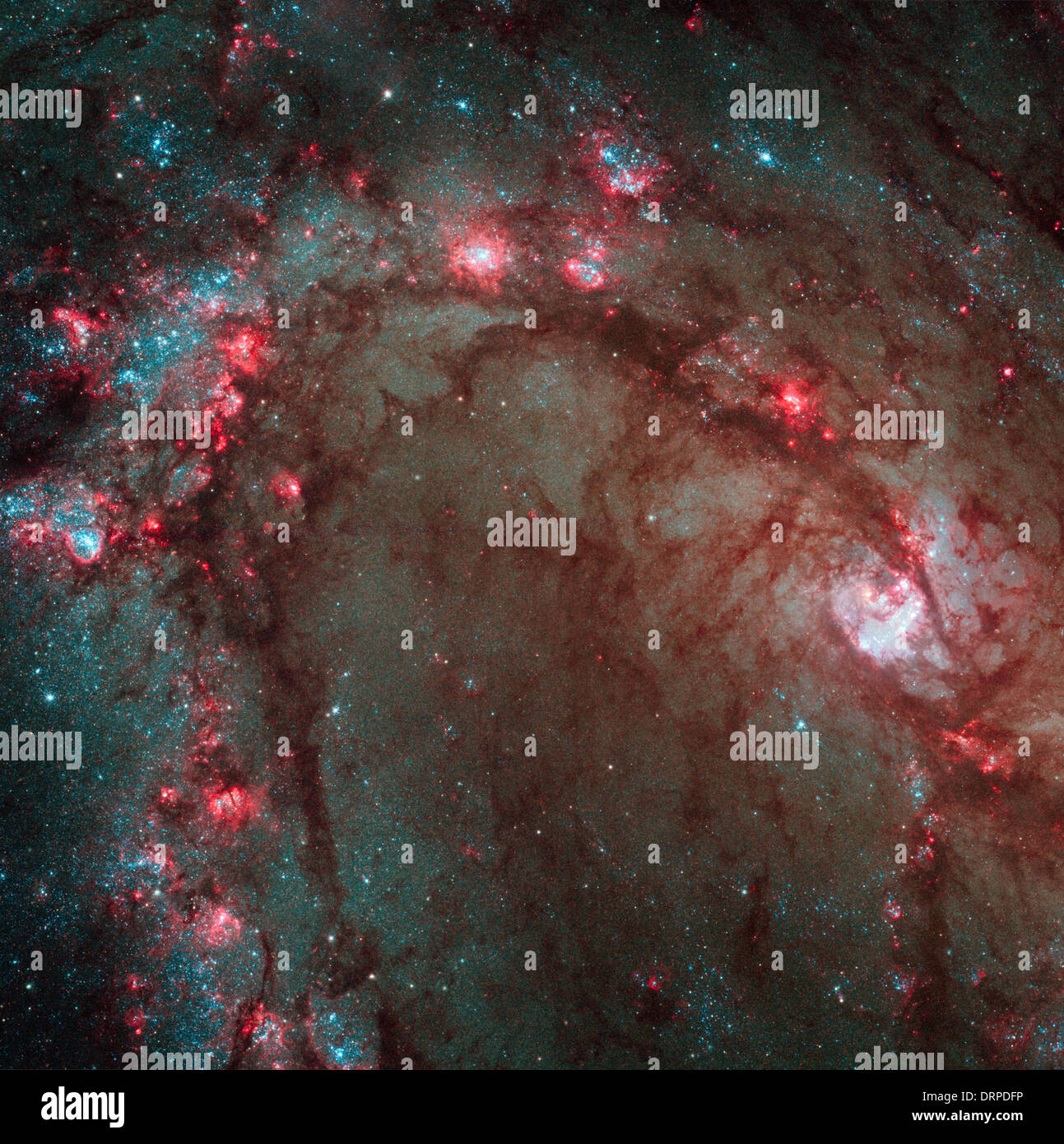 Hubble Wide Field Camera 3 Image Details Star Birth in Galaxy M83 Stock ...