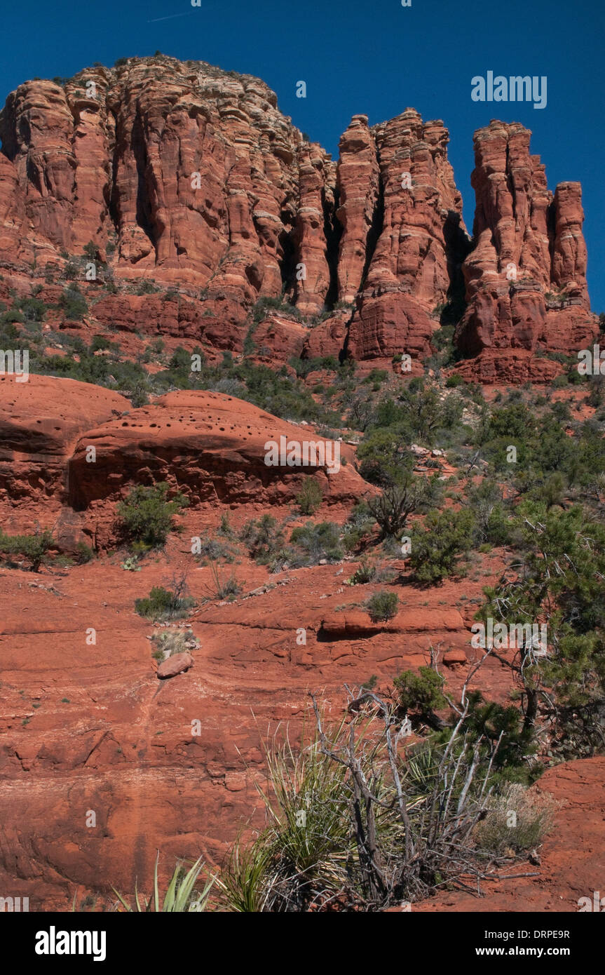 Red Rock State Park, Sedona , Arizona, red rocks Stock Photo - Alamy