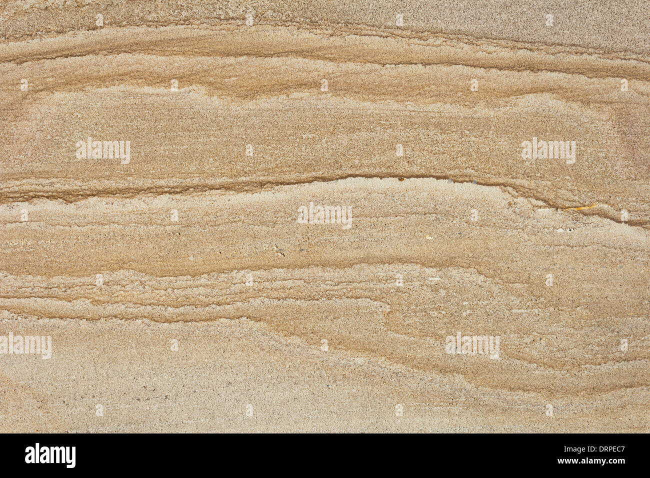 Sandstone texture hi-res stock photography and images - Alamy