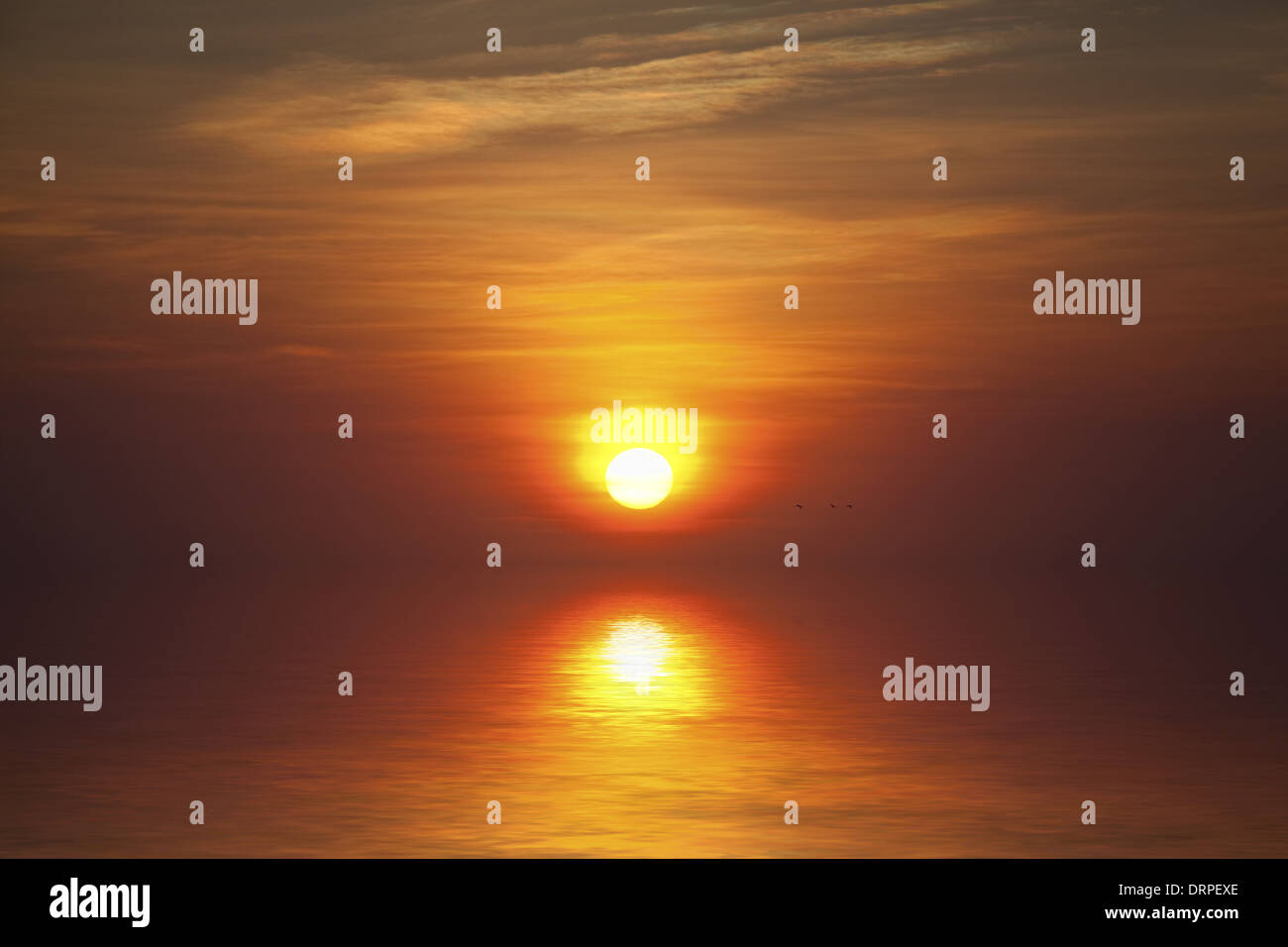 Bonaire at sunrise hi-res stock photography and images - Alamy