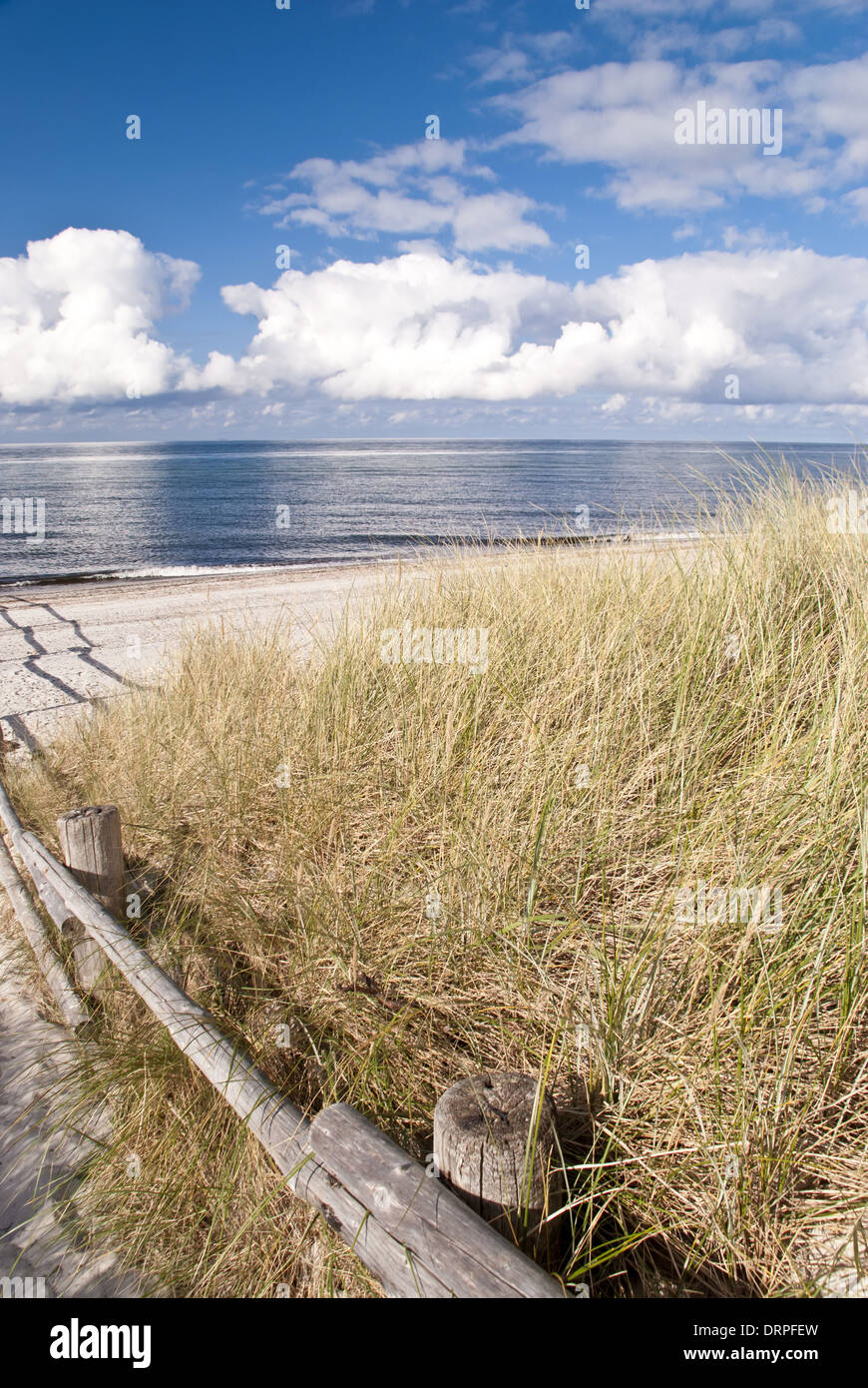 Coast of Darss, Germany Stock Photo - Alamy