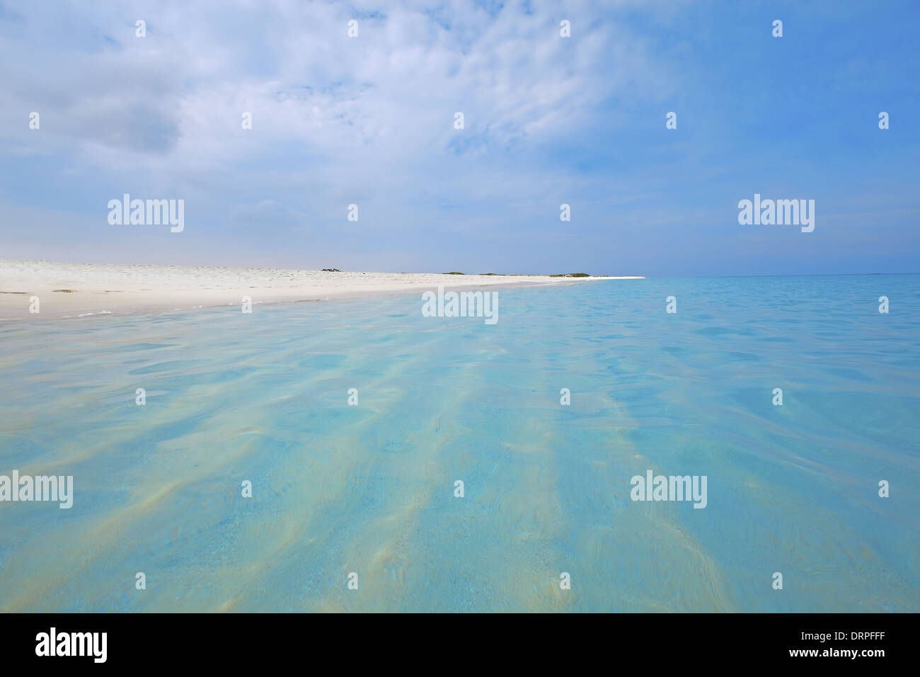 Crystal waters hi-res stock photography and images - Alamy