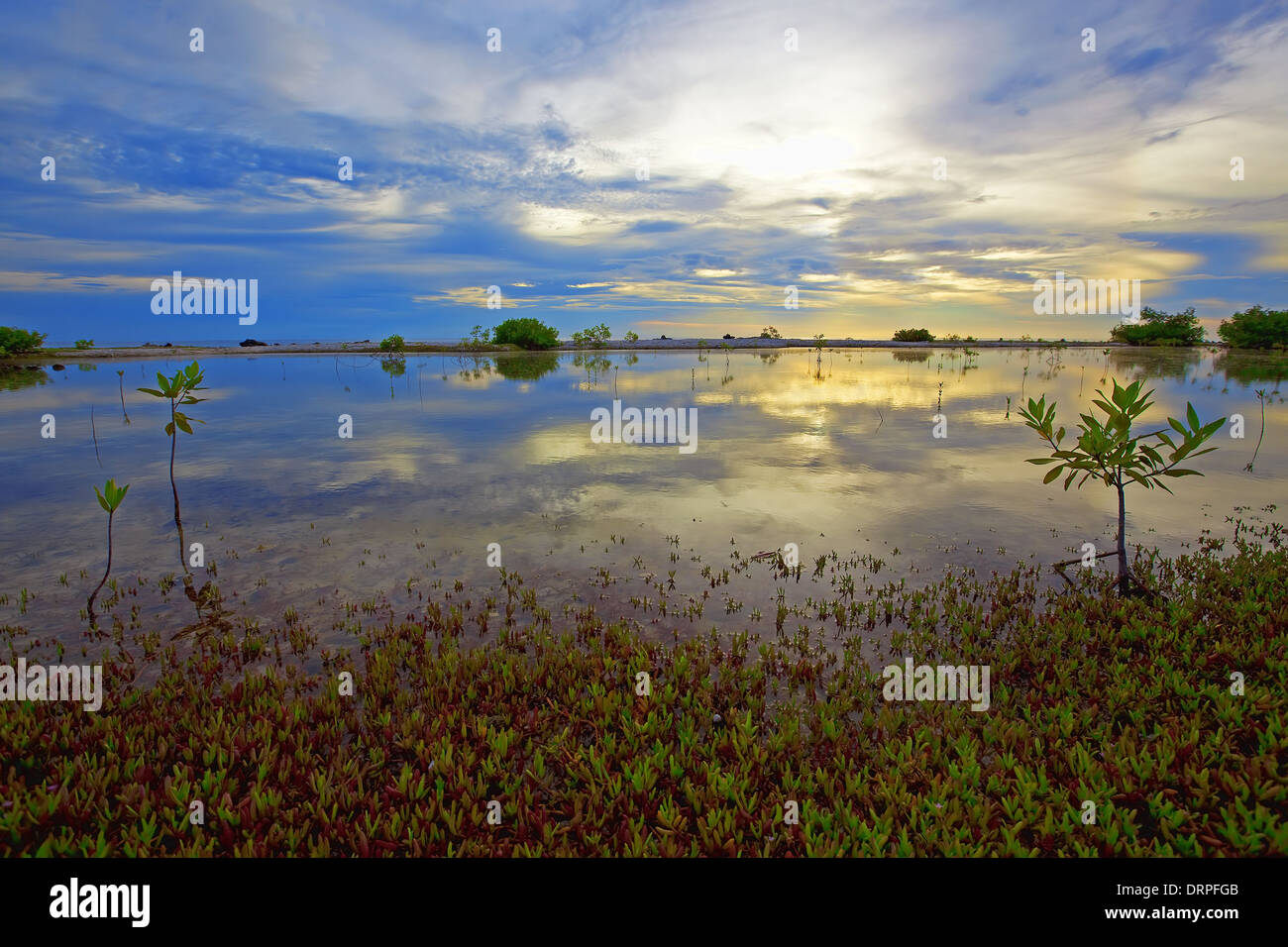 Bonaire at sunrise hi-res stock photography and images - Alamy
