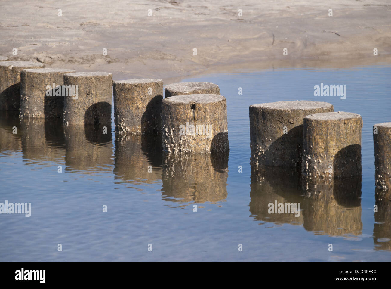 Darß germany hi-res stock photography and images - Alamy