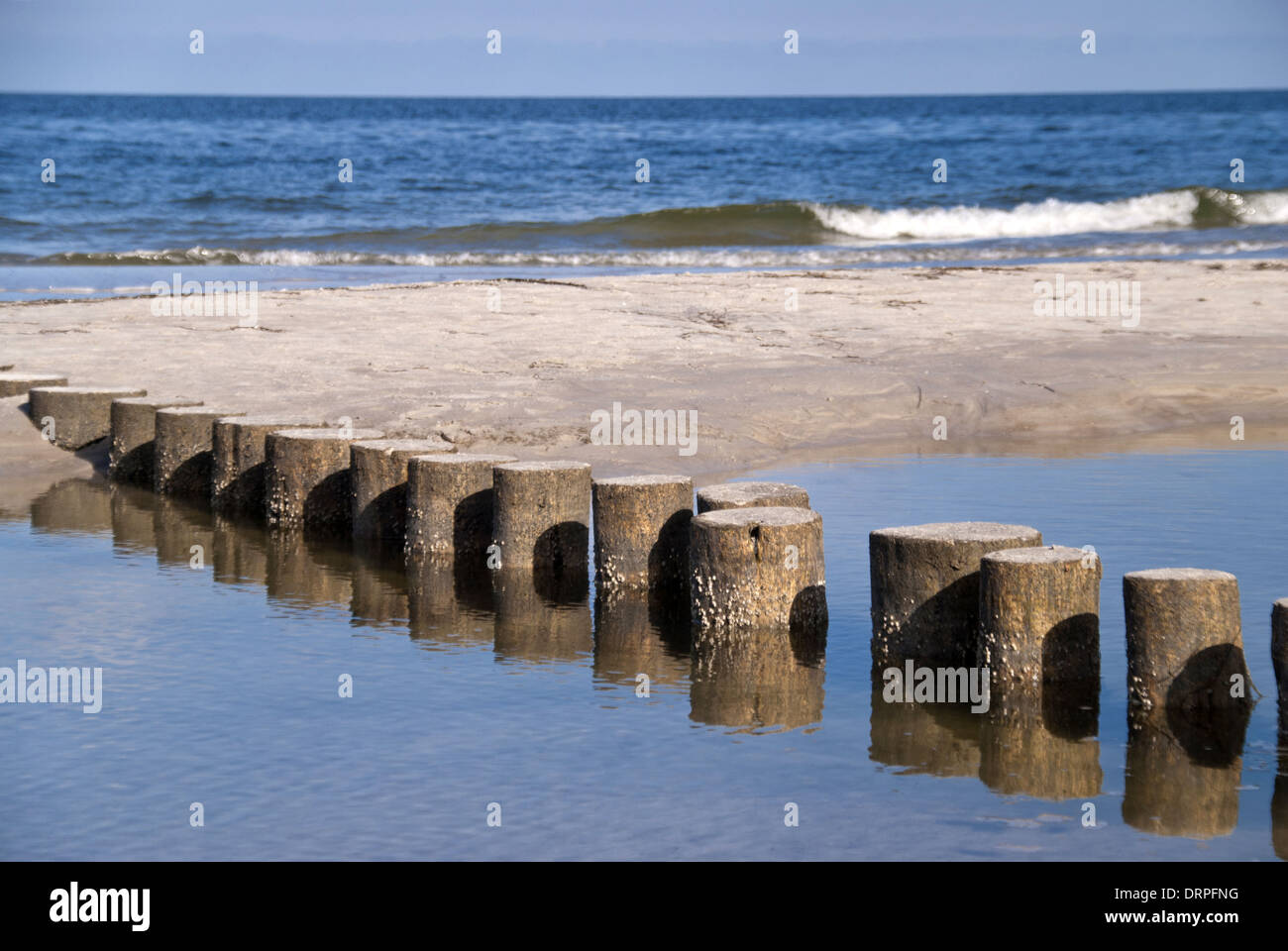 Beach of darss, Germany Stock Photo - Alamy