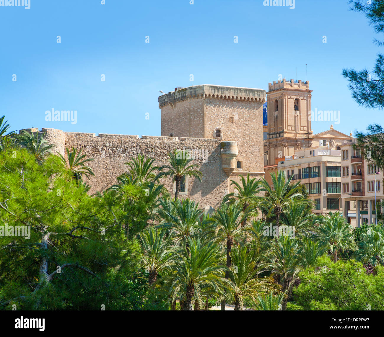 Elche Elx Alicante el Palmeral Palm trees park and Altamira Palace ...