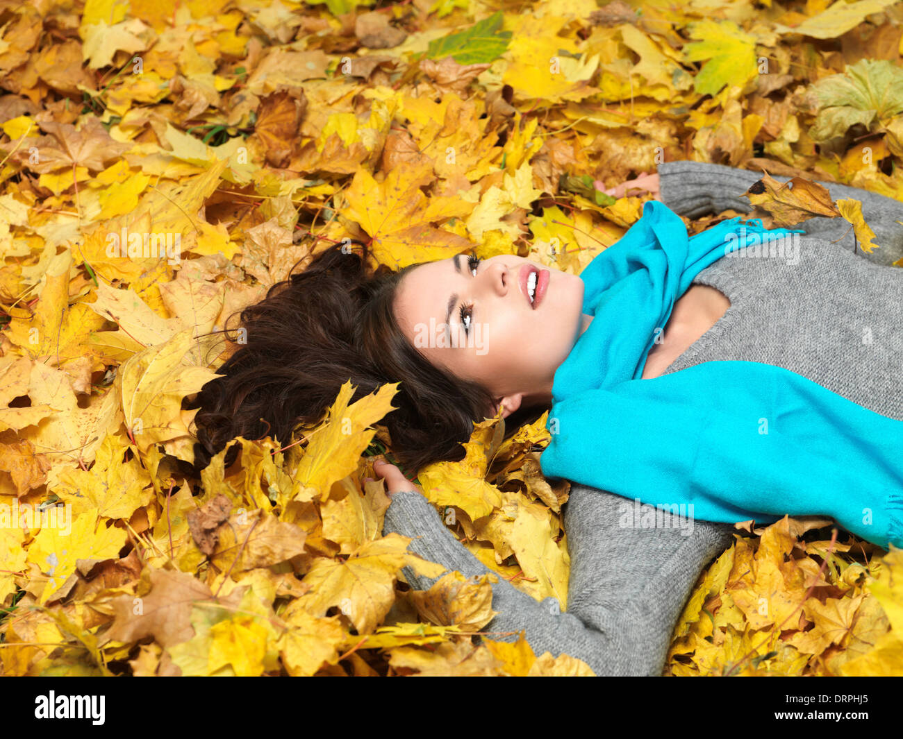 Beauty during autumn Stock Photo - Alamy