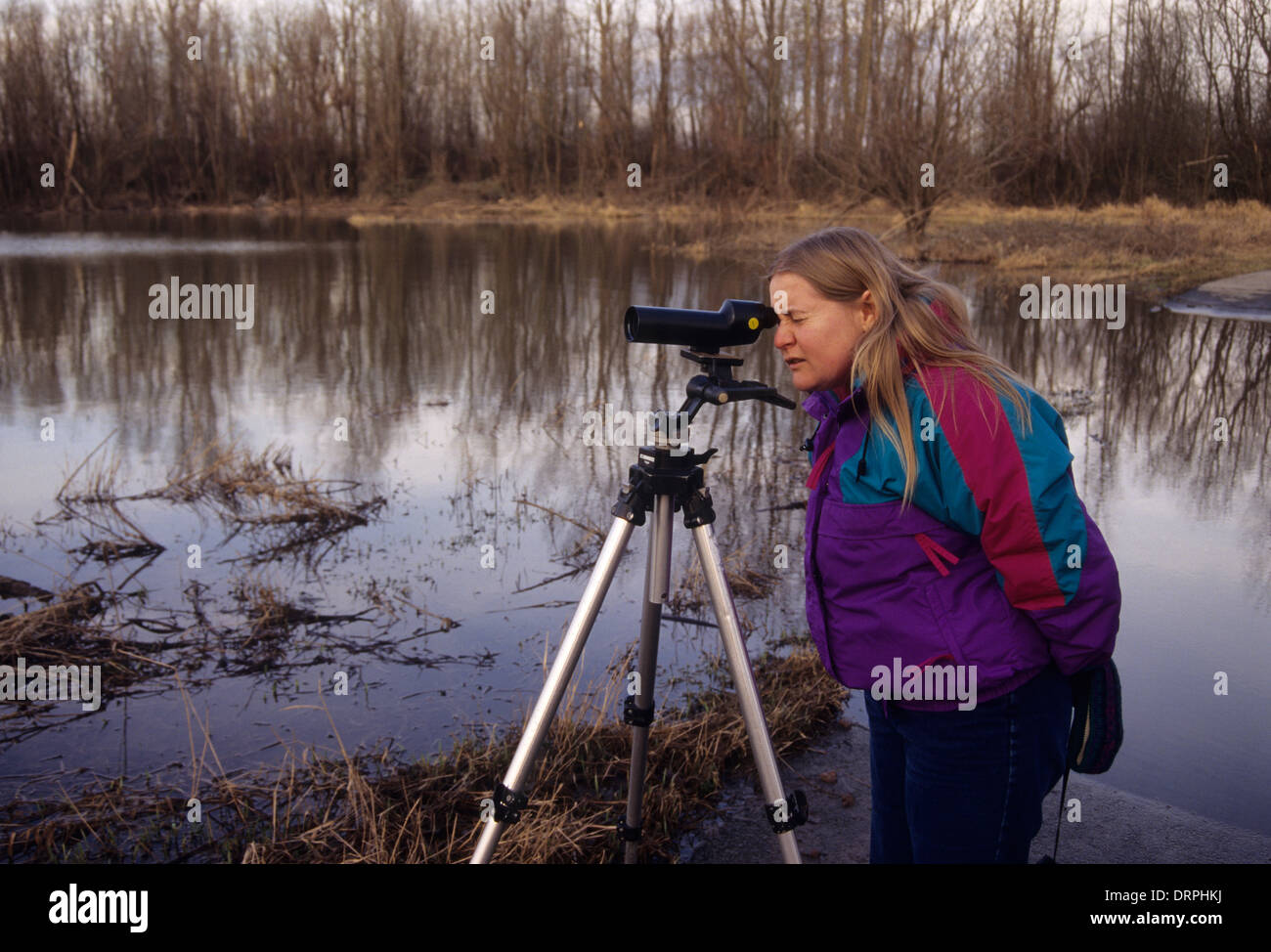 Birdwatching, Smith-Bybee Lakes Park, Portland, Oregon Stock Photo - Alamy
