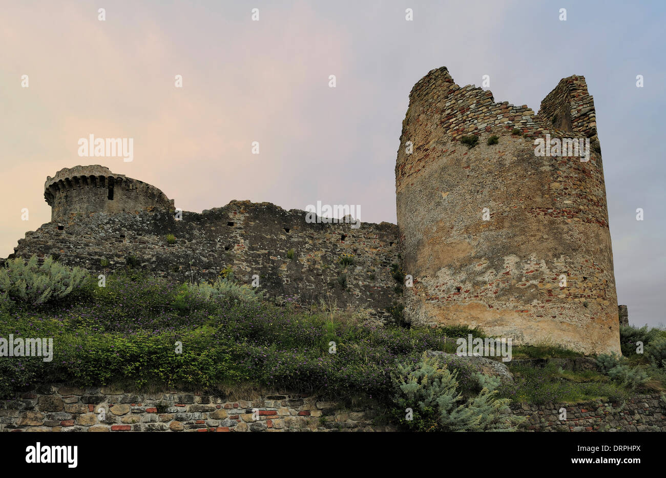 Velia hi-res stock photography and images - Alamy