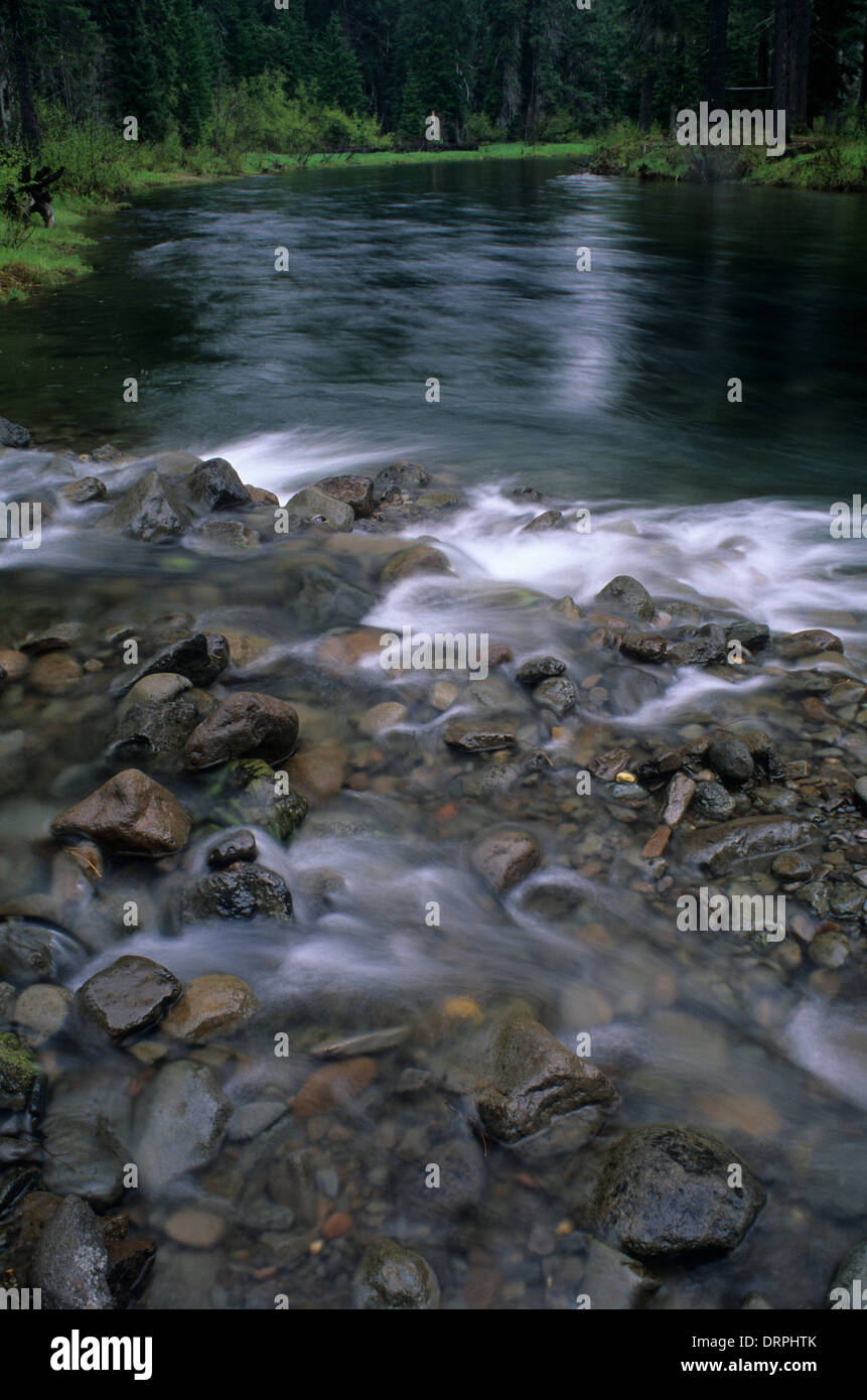 Rogue River in Winding River Canyon, Rogue Wild & Scenic River, Rogue ...