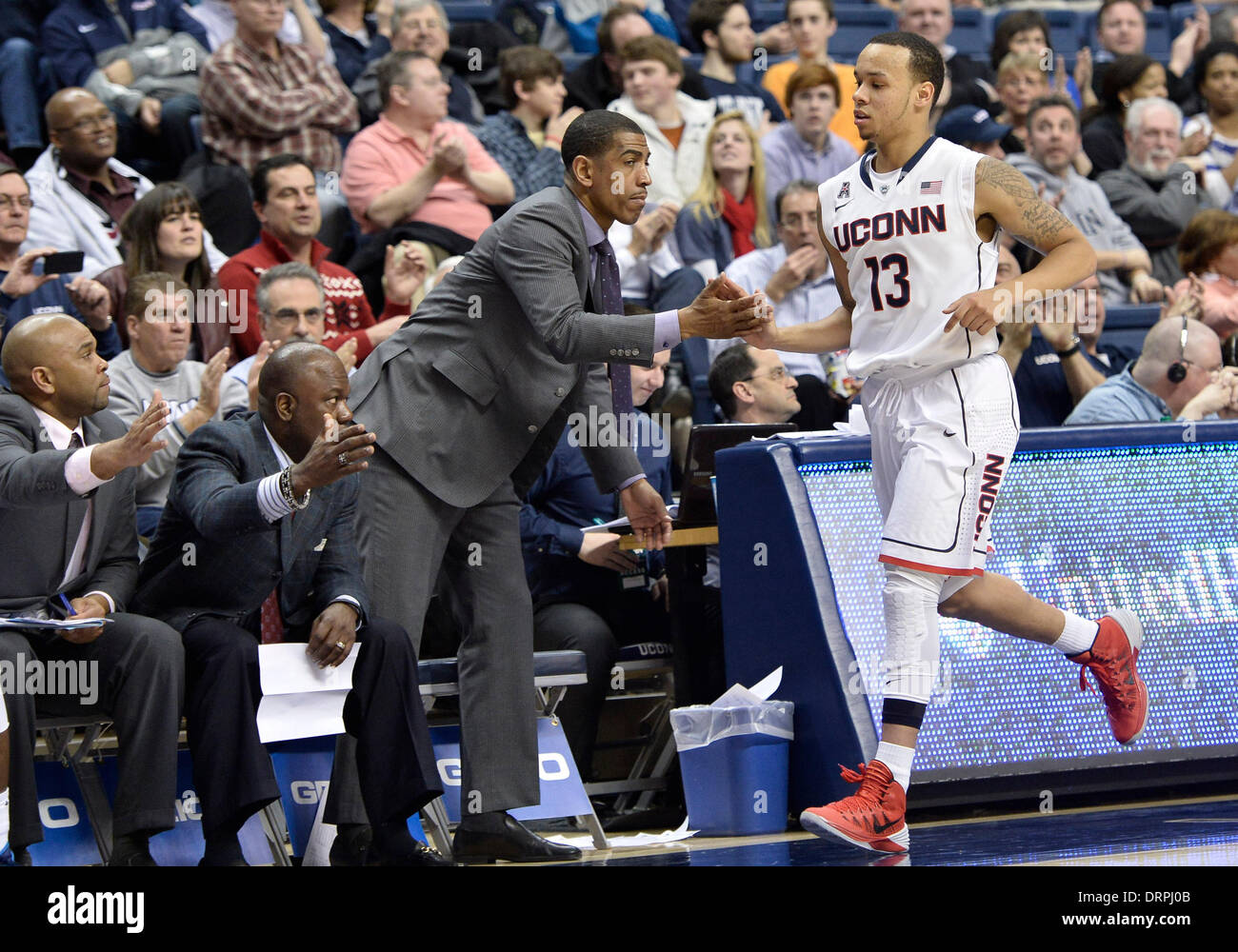 Connecticut Cougars High Resolution Stock Photography and Images - Alamy