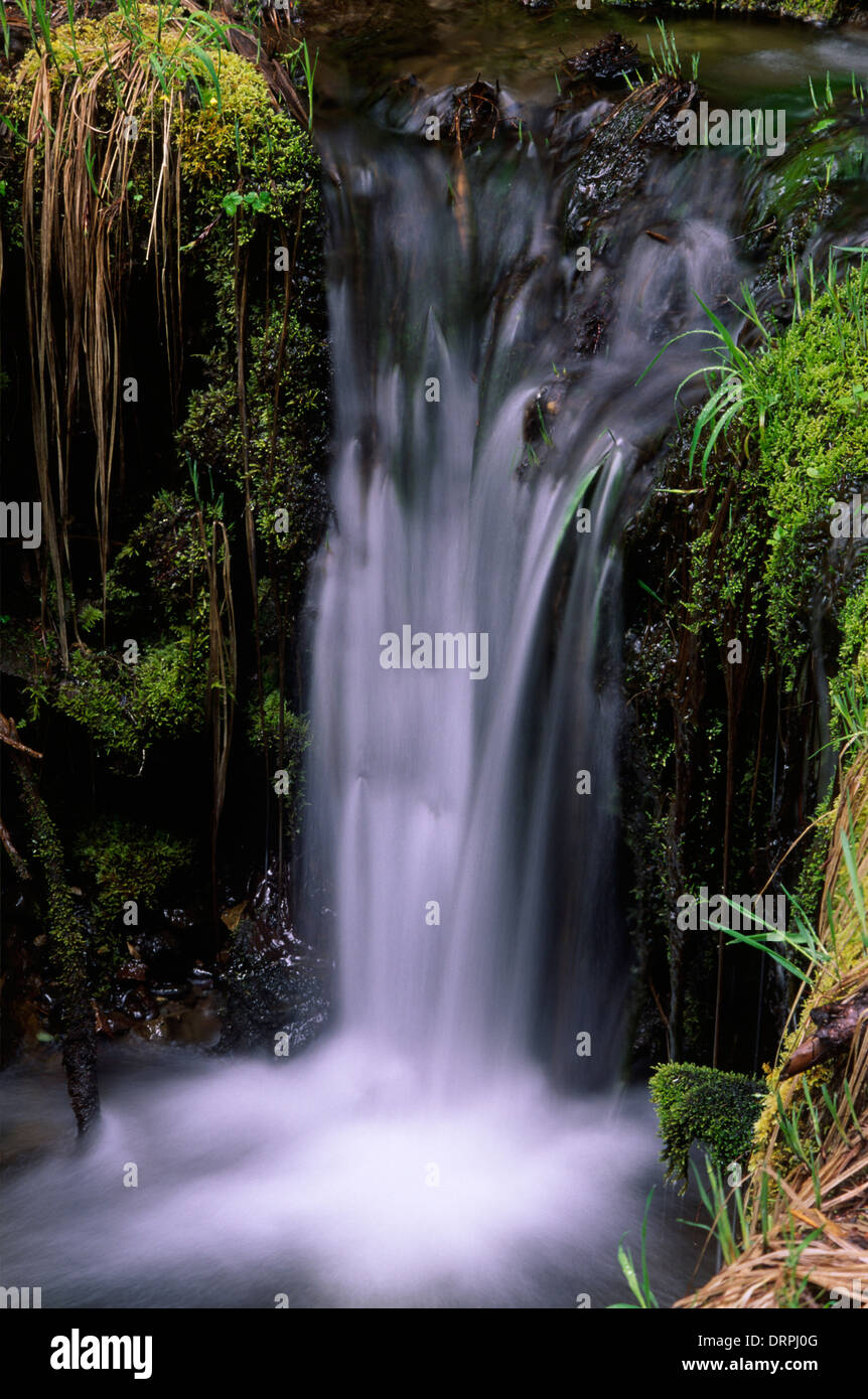 Tributary river in oregon hi-res stock photography and images - Alamy