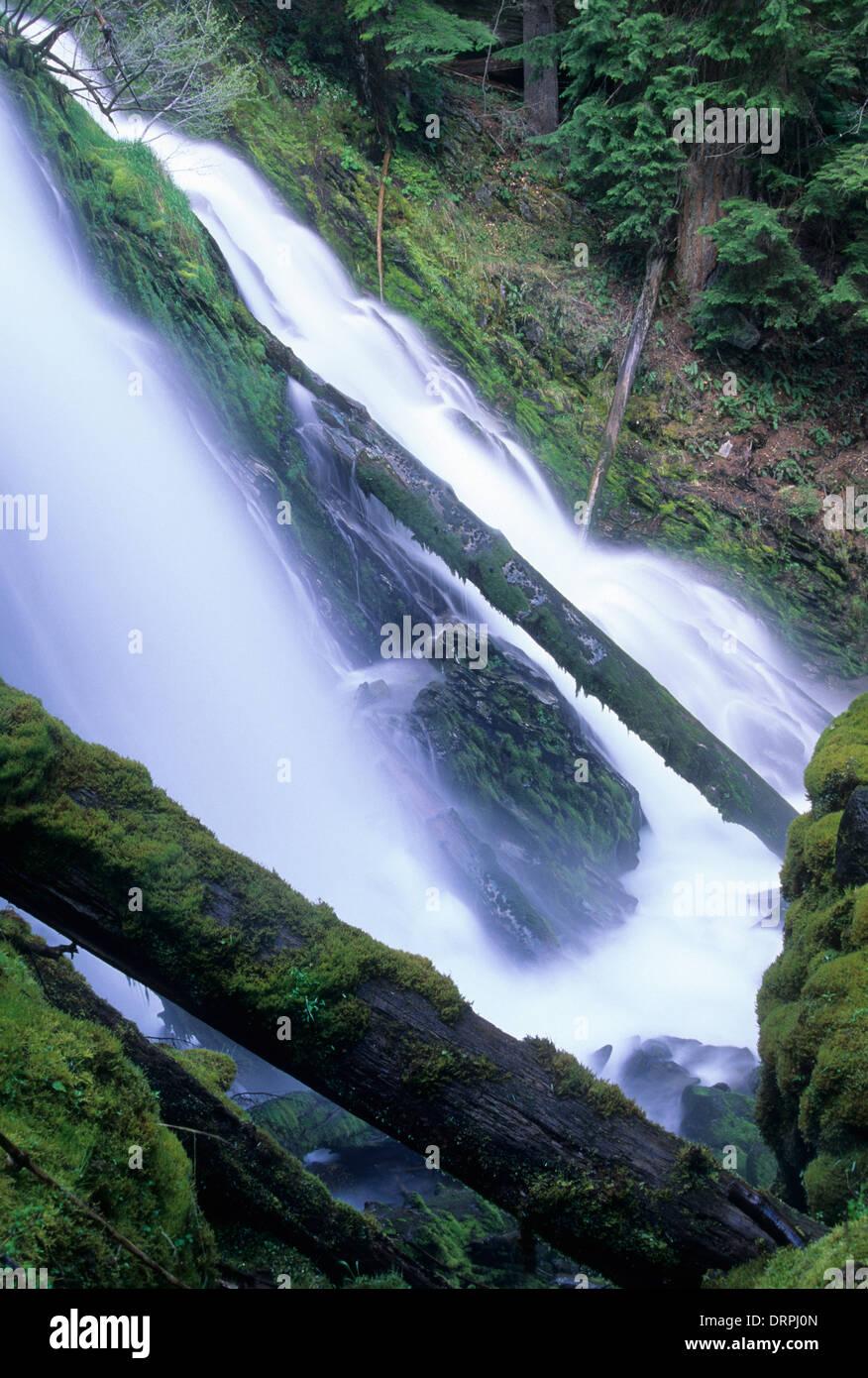 National Creek Falls, Rogue River National Forest, Oregon Stock Photo ...