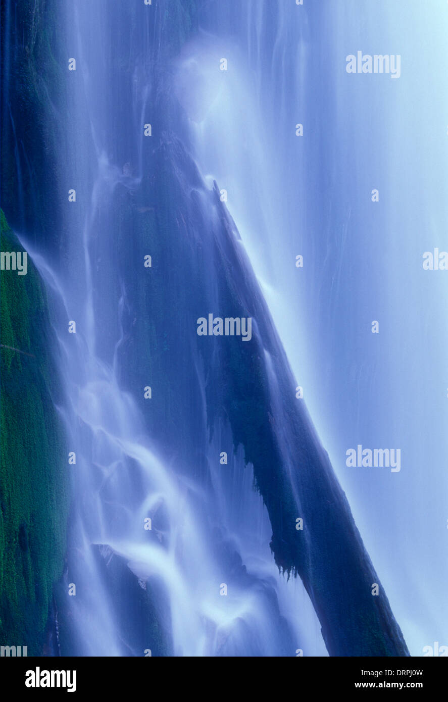 National Creek Falls, Rogue River National Forest, Oregon Stock Photo ...