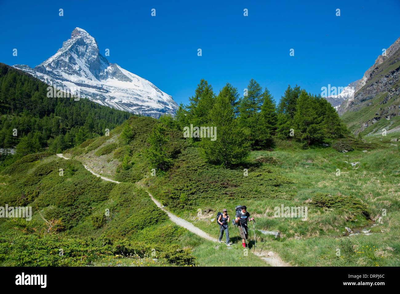 Hikers on walking trail below the Matterhorn mountain in the Swiss Alps ...