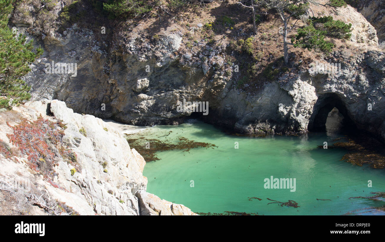 Point lobos state park hi-res stock photography and images - Alamy