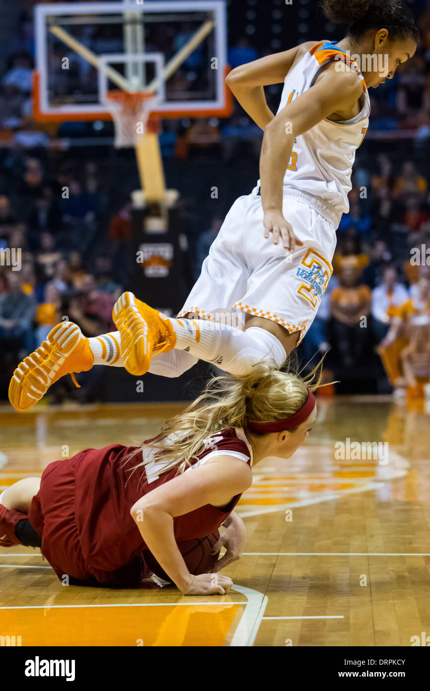 Lady razorbacks hi-res stock photography and images - Alamy