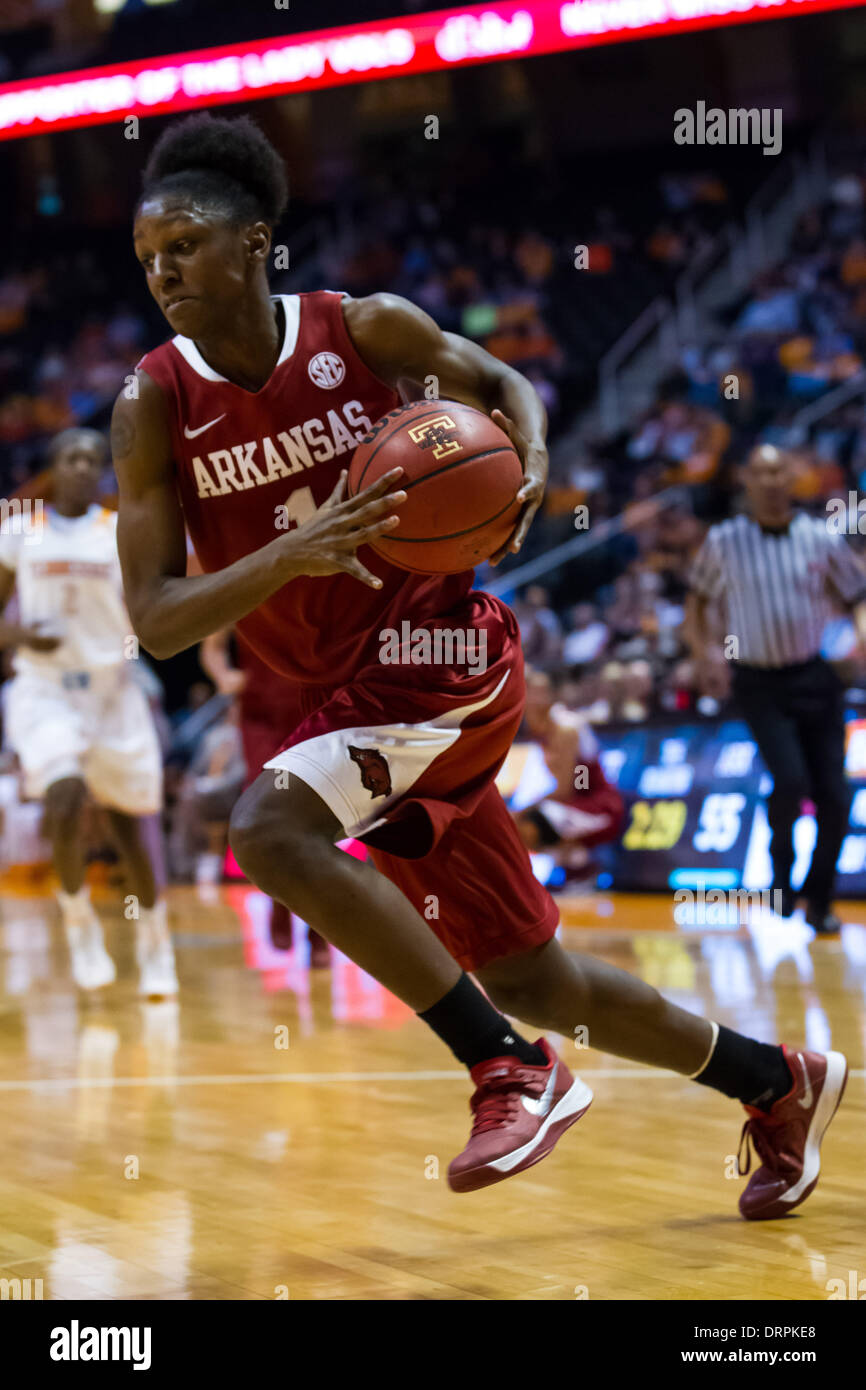 Lady razorbacks hi-res stock photography and images - Alamy