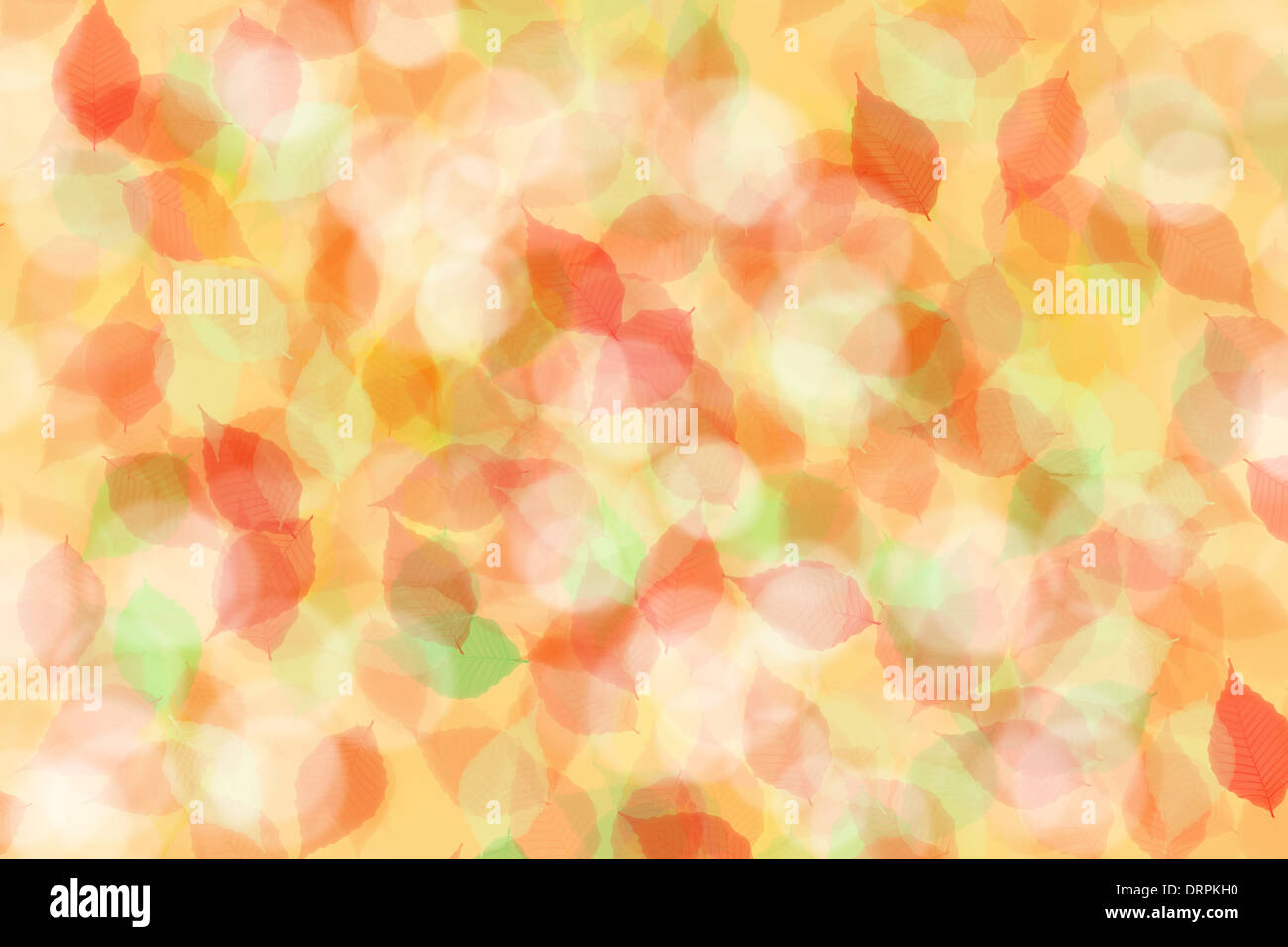 Abstract leaves hi-res stock photography and images - Alamy