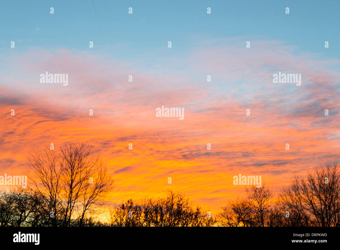 Orange sunshine in Bucharest, Romania Stock Photo - Alamy