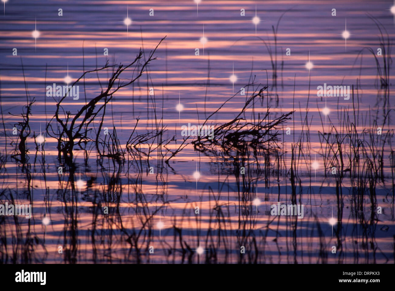 abstract light of lake evening background Stock Photo - Alamy