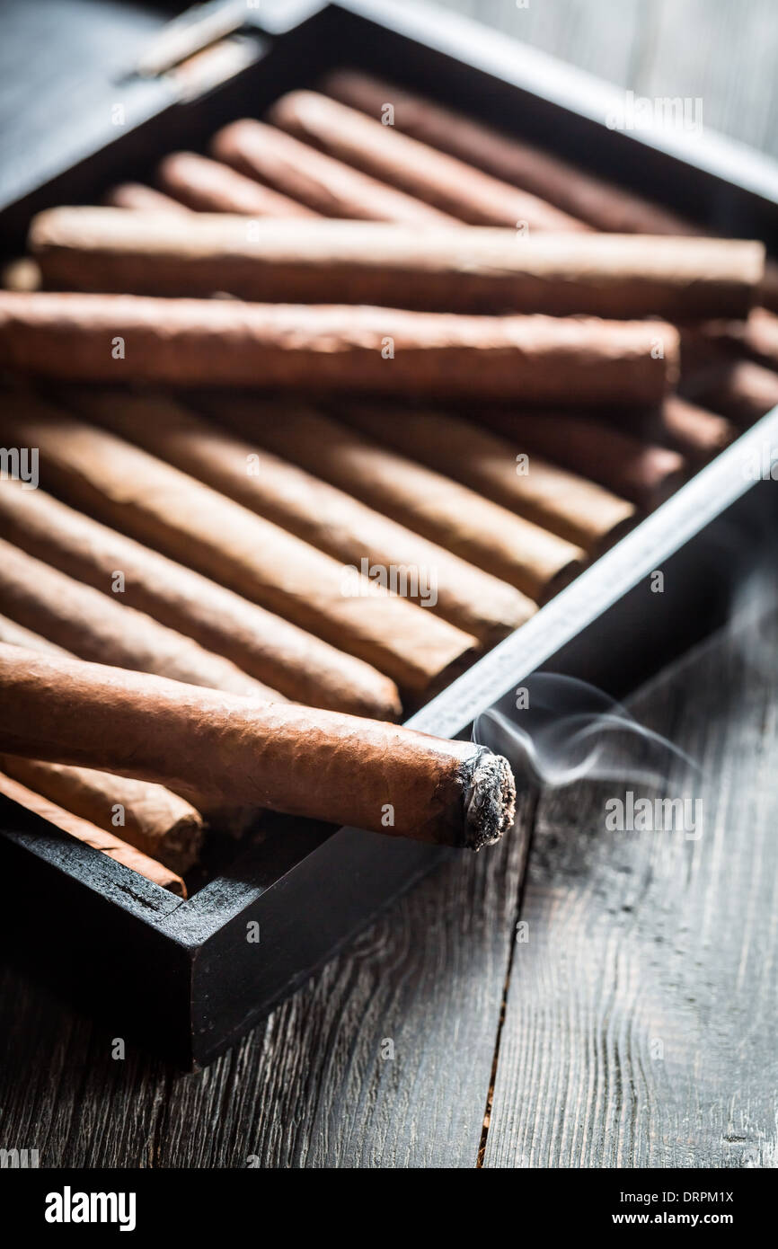 Burning Cigar Rich Stock Photos & Burning Cigar Rich Stock Images - Alamy