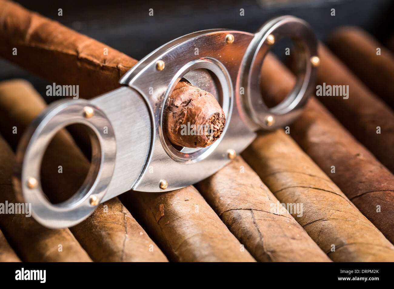 Cigar cutting cigar box hi-res stock photography and images - Alamy