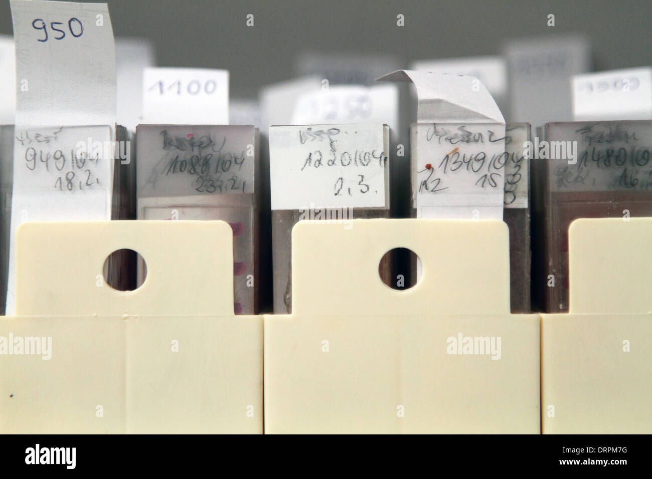 samples in a histology or pathology labor Stock Photo - Alamy
