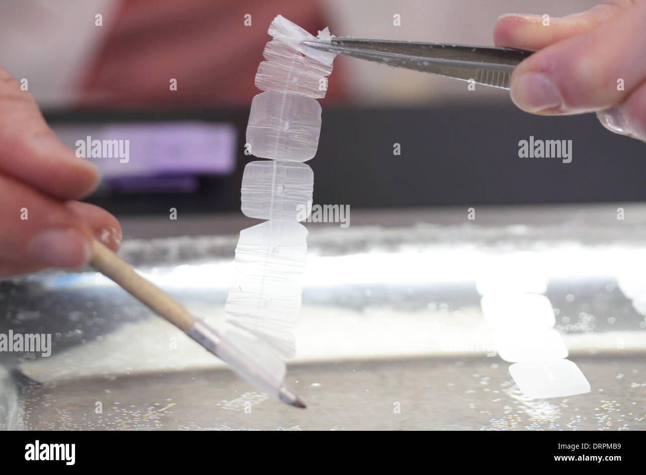 Microscope glass slides in histology hi-res stock photography and ...